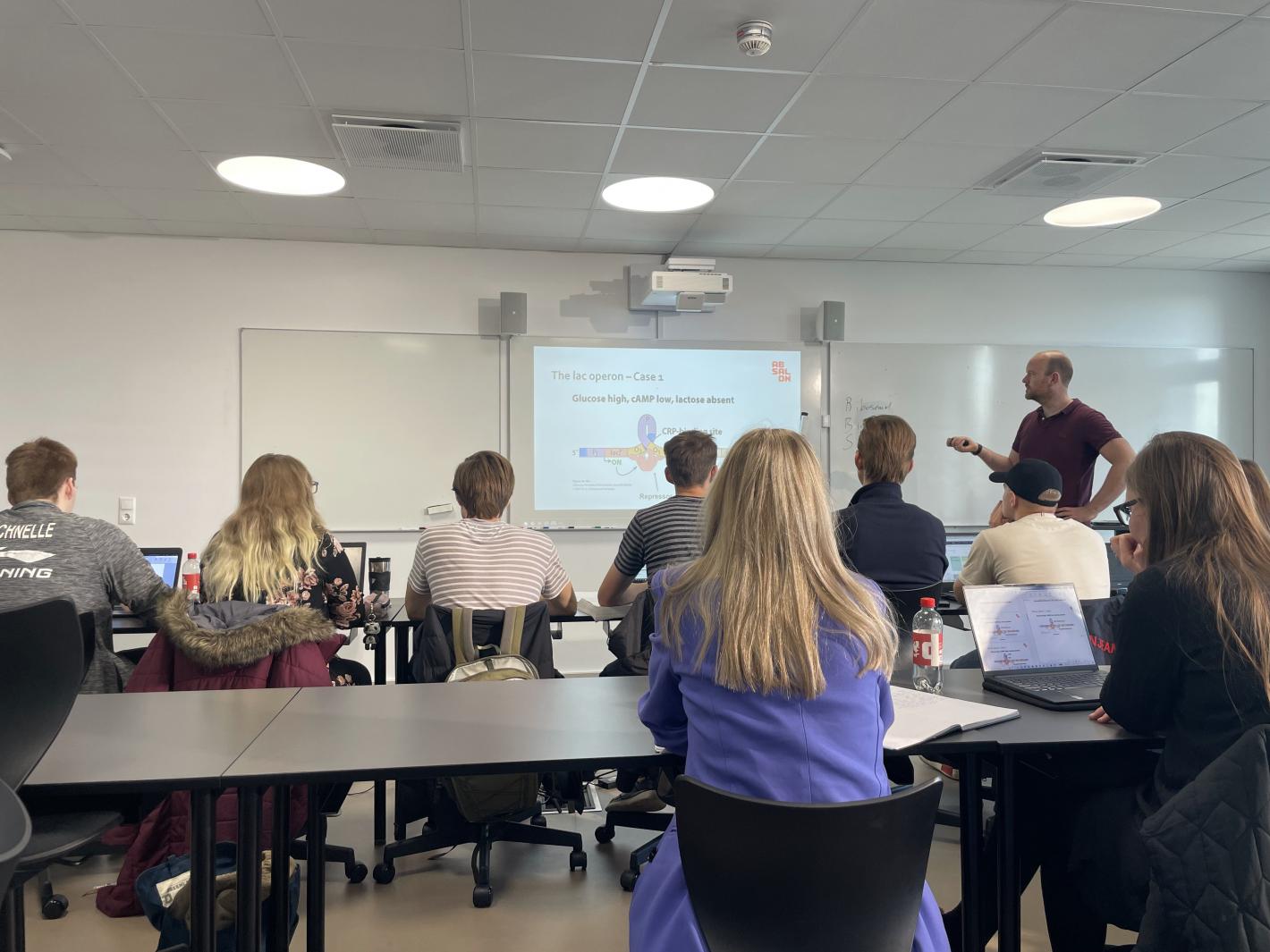 Learning Danish | University College Absalon